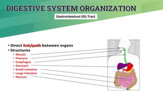 DIGESTIVE SYSTEM_CLASS 10th.pptx