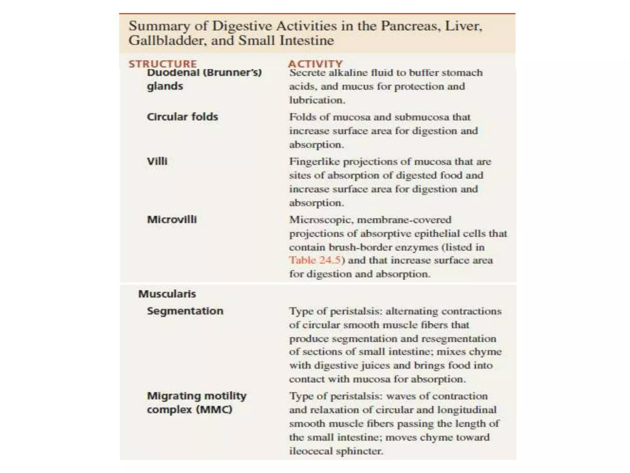 DIGESTIVE SYSTEM CLASS 2 physiology.pptx