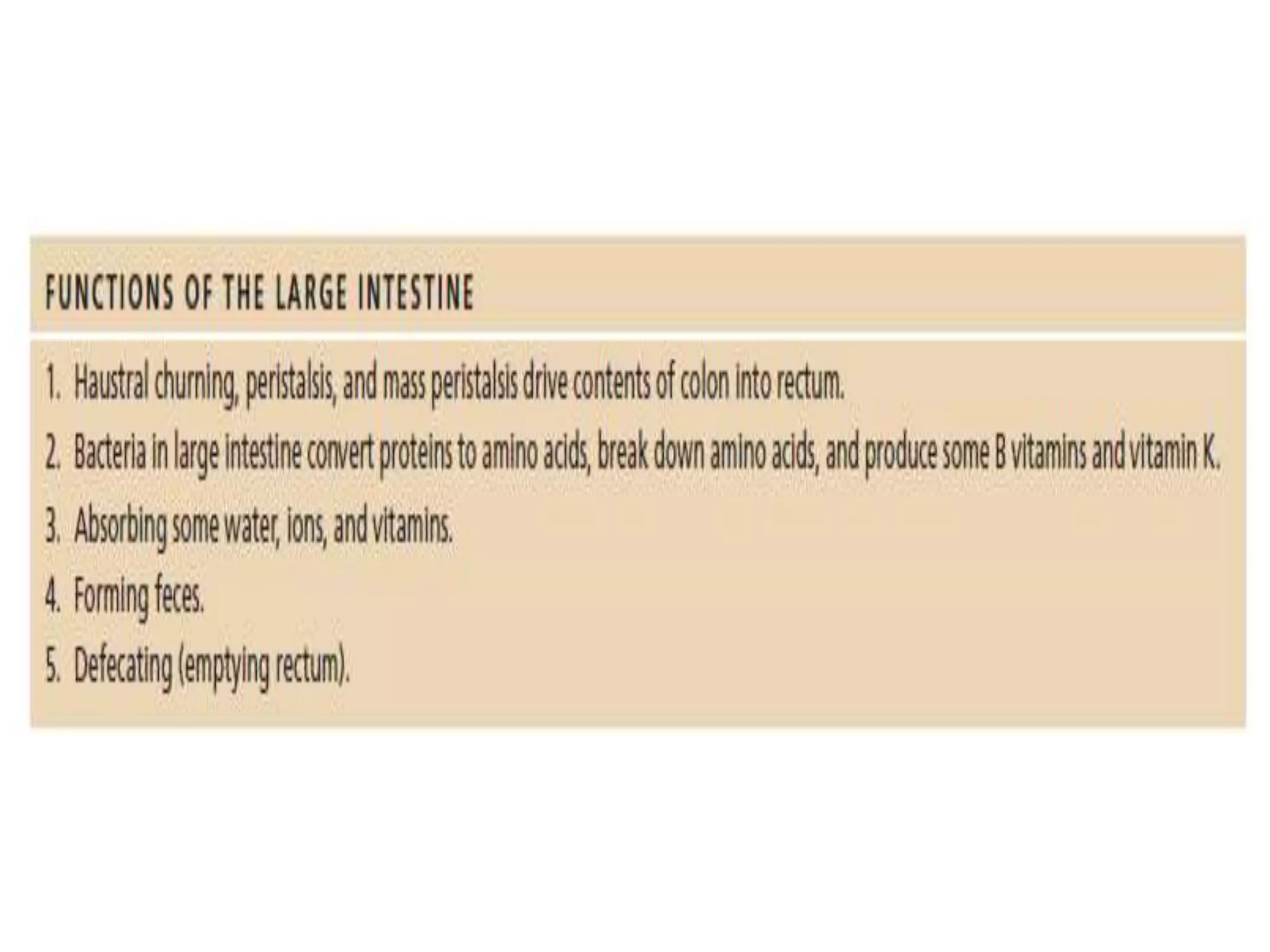 DIGESTIVE SYSTEM CLASS 2 physiology.pptx