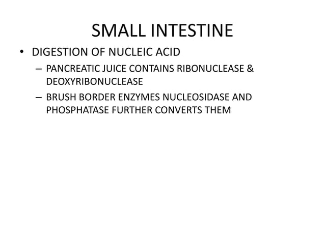 DIGESTIVE SYSTEM CLASS 2 physiology.pptx
