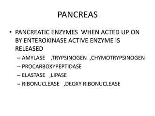 DIGESTIVE SYSTEM CLASS 2 physiology.pptx