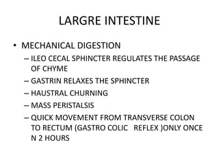 DIGESTIVE SYSTEM CLASS 2 physiology.pptx