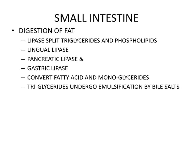 DIGESTIVE SYSTEM CLASS 2 physiology.pptx
