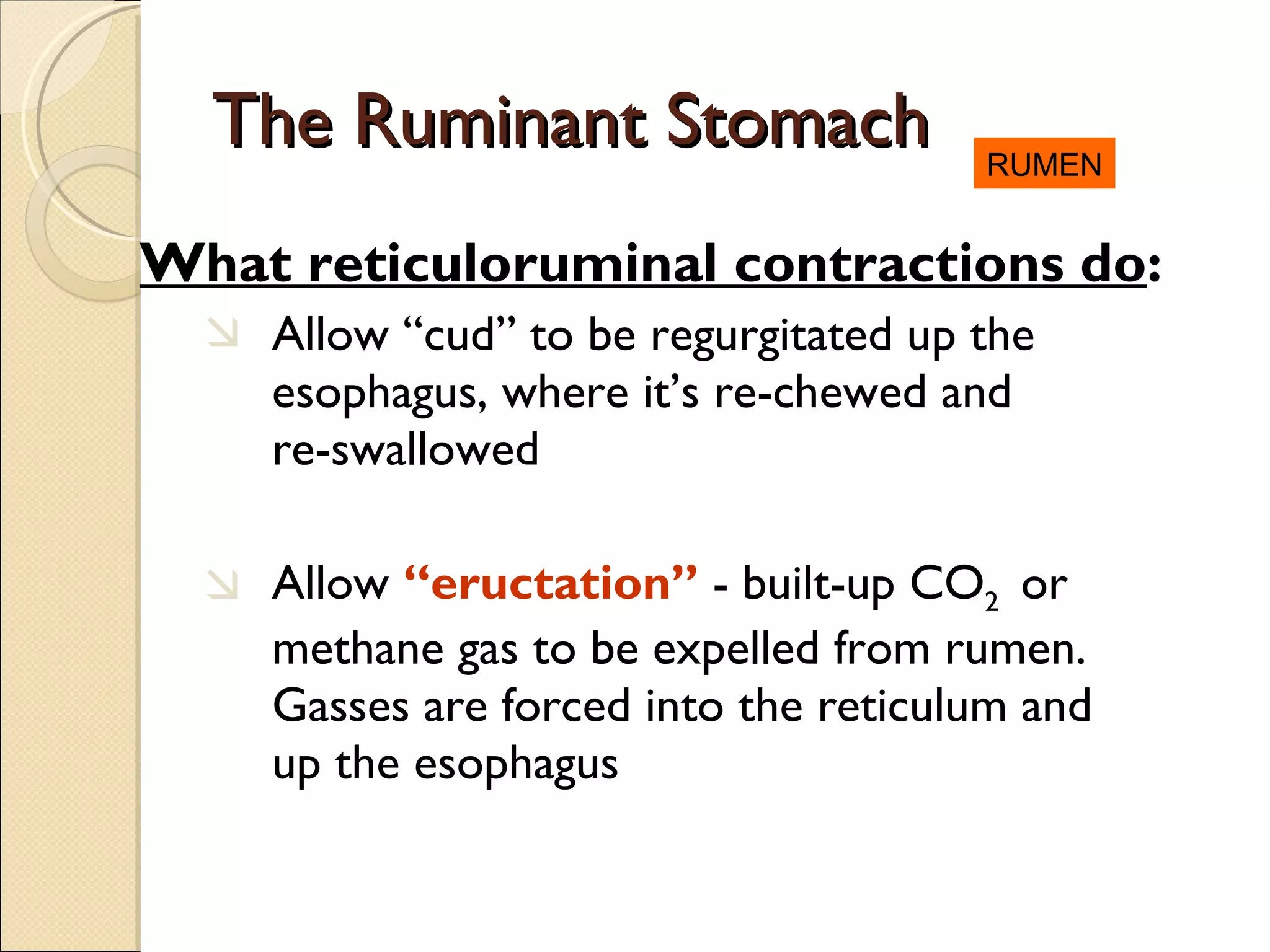 Digestive system classifications | PPT