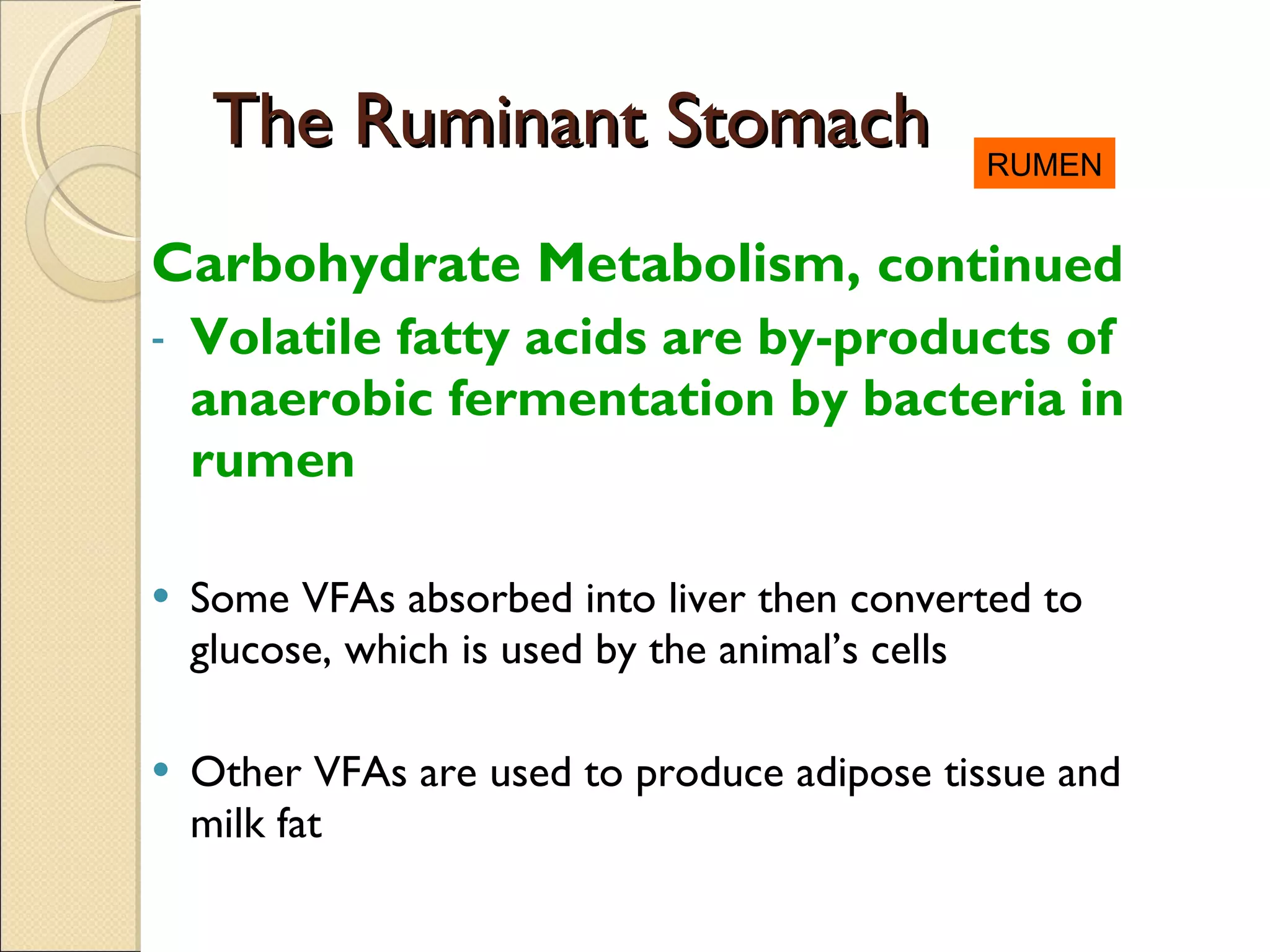 Digestive system classifications | PPT