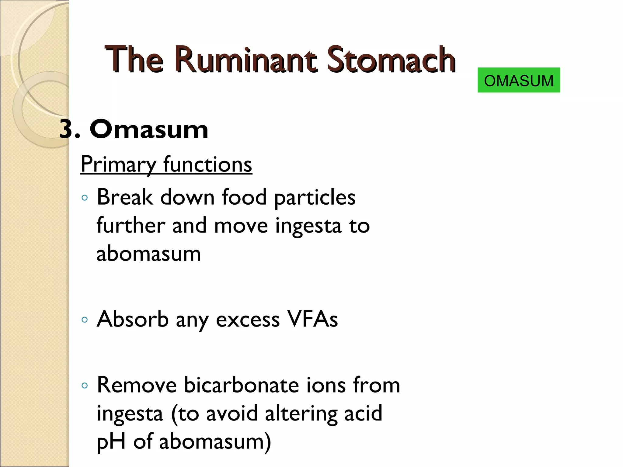 Digestive system classifications | PPT