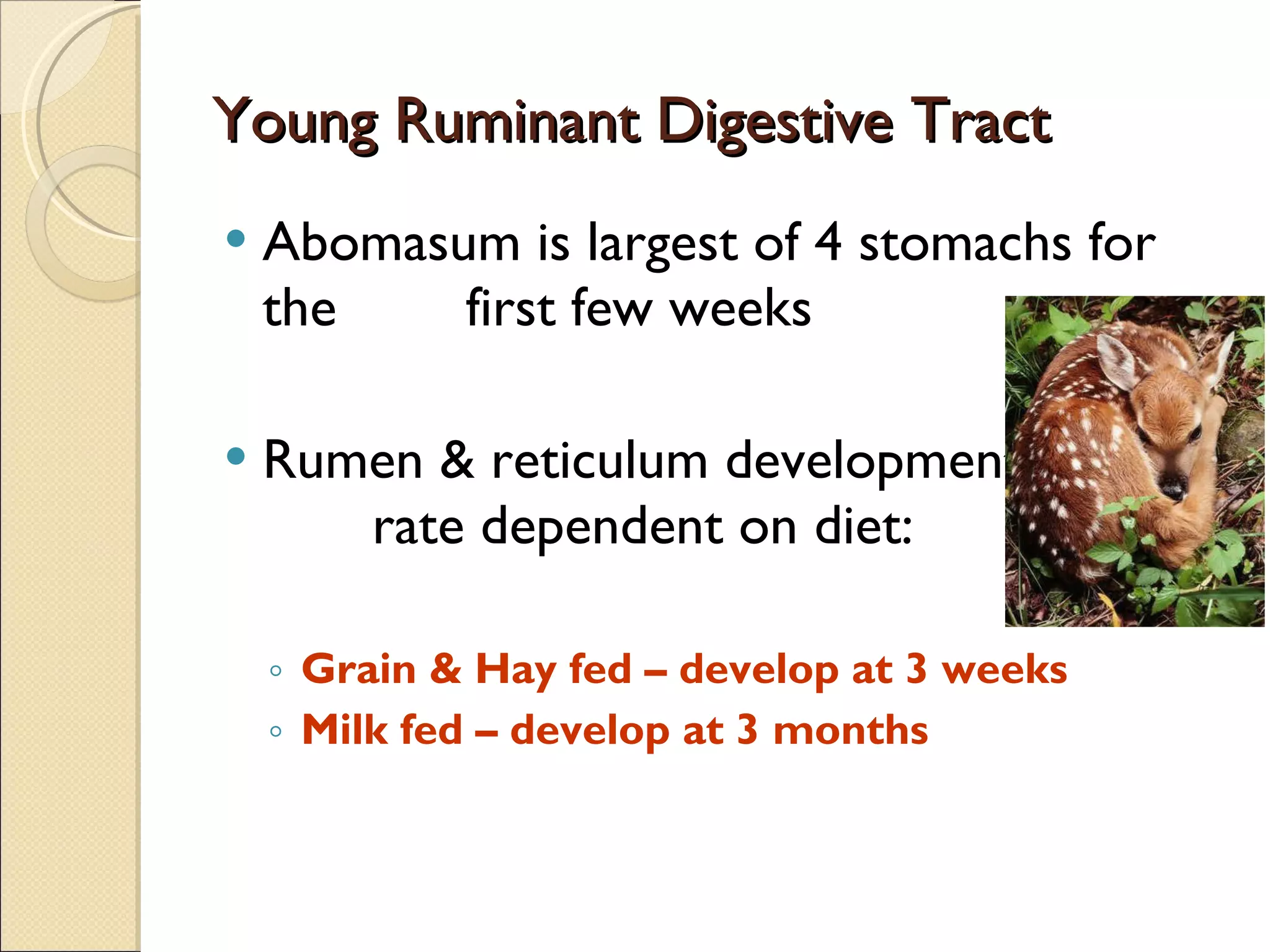 Digestive system classifications | PPT