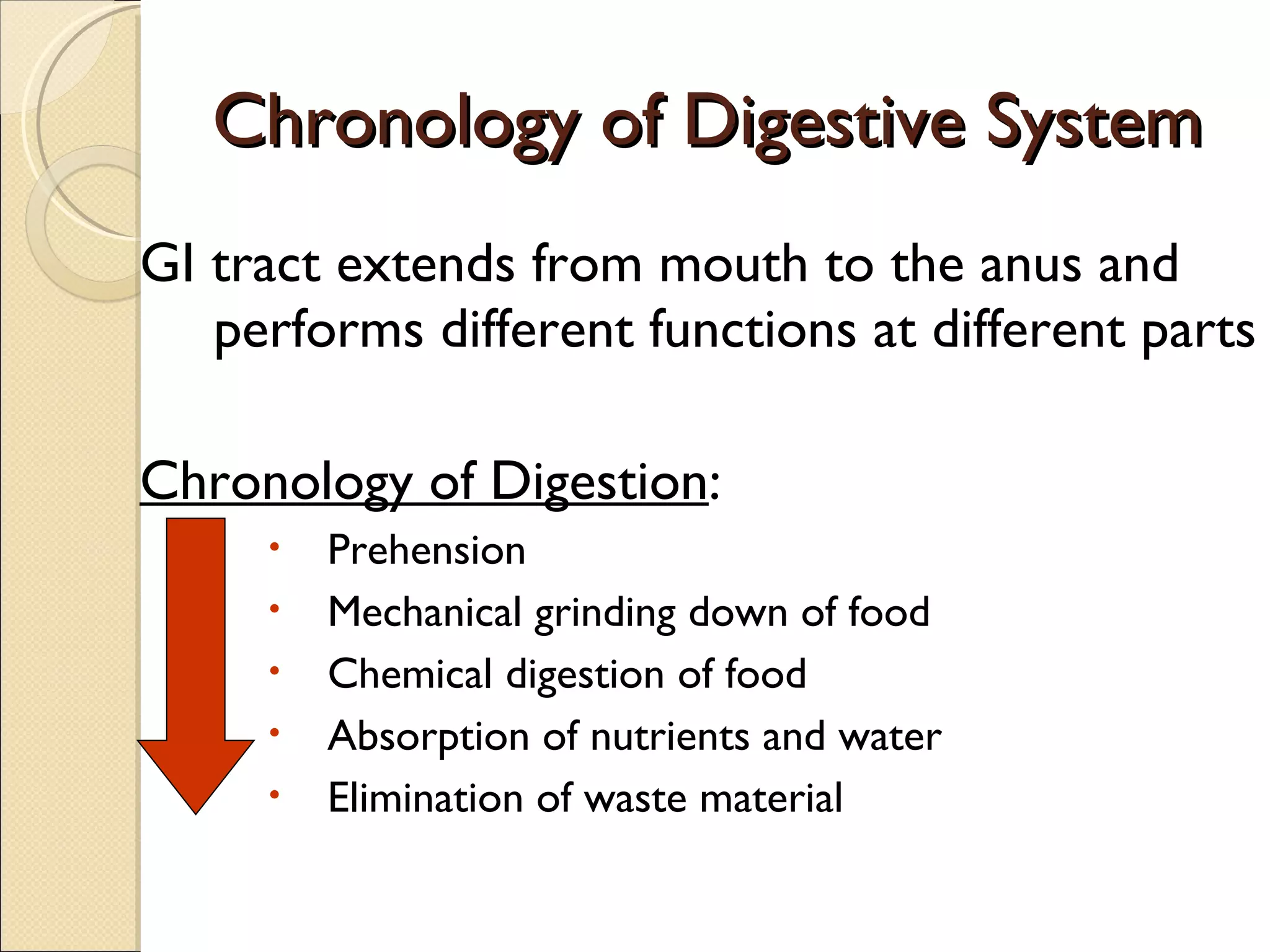 Digestive system classifications | PPT