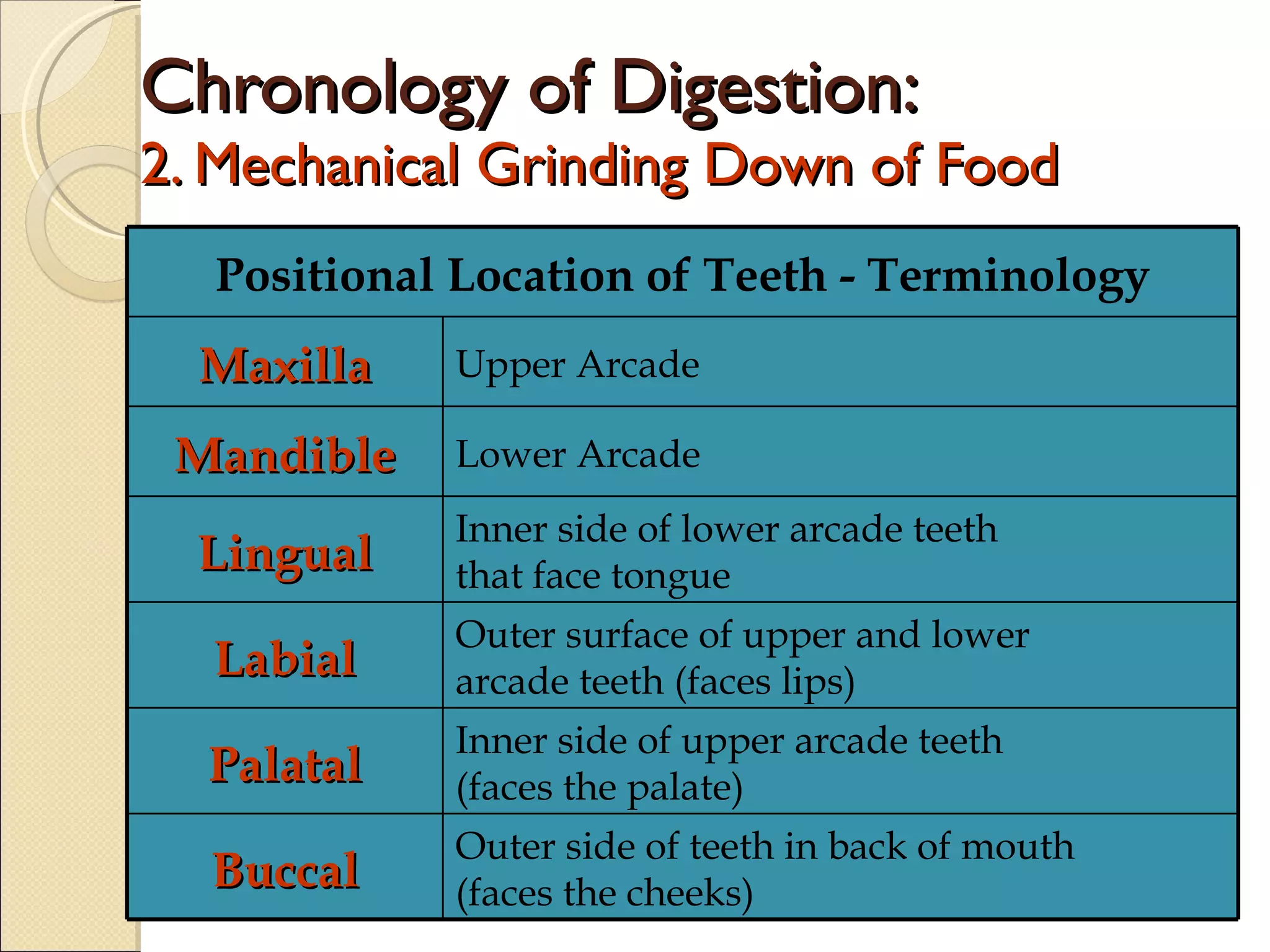 Digestive system classifications | PPT