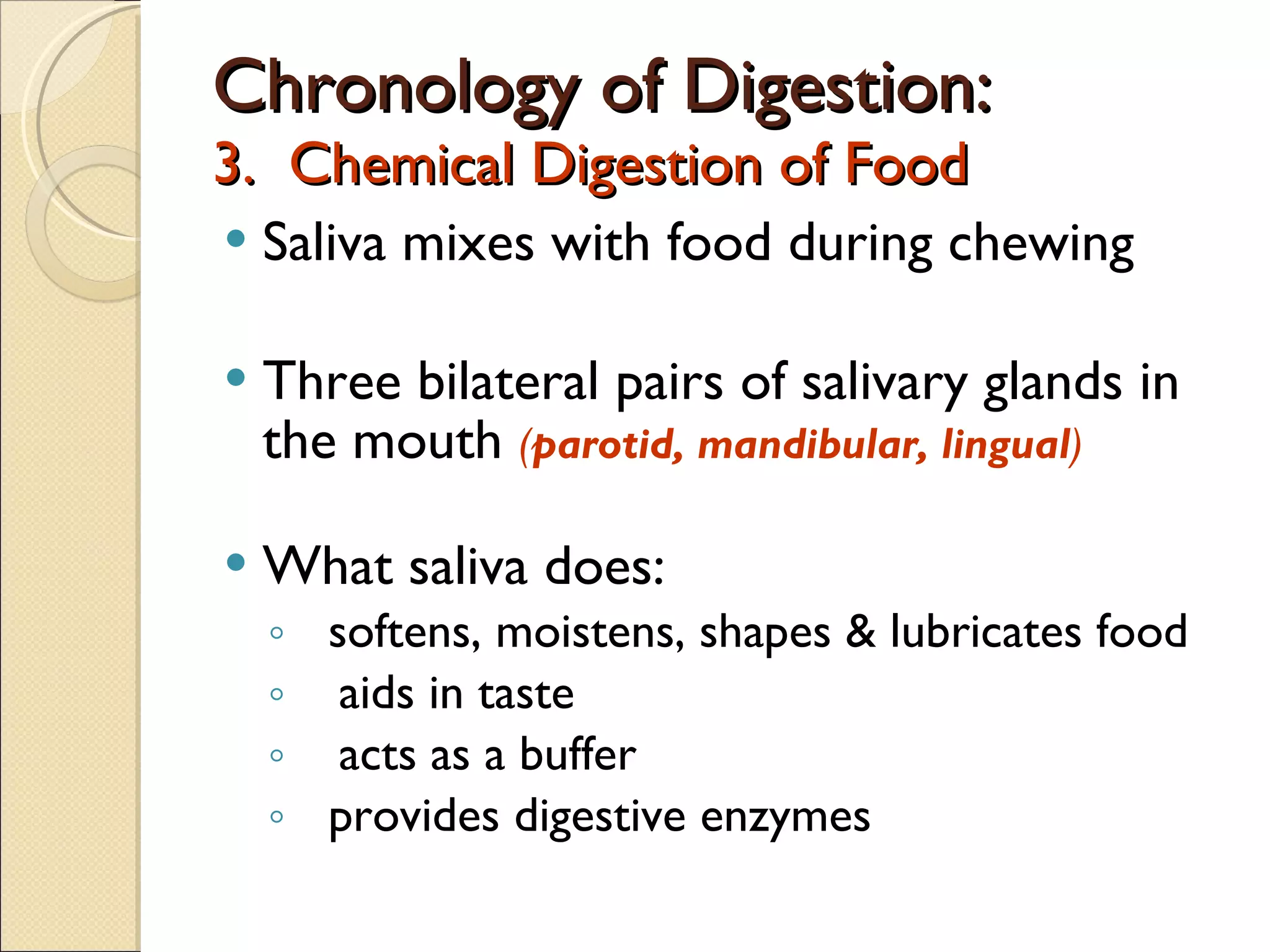 Digestive system classifications | PPT