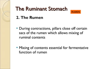 Digestive system classifications | PPT