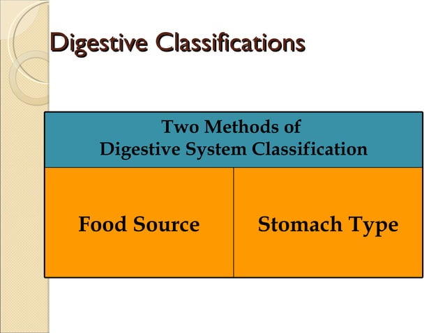 Digestive system classifications | PPT