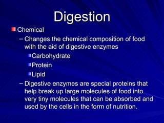 Digestive system | PPT