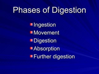 Digestive system | PPT