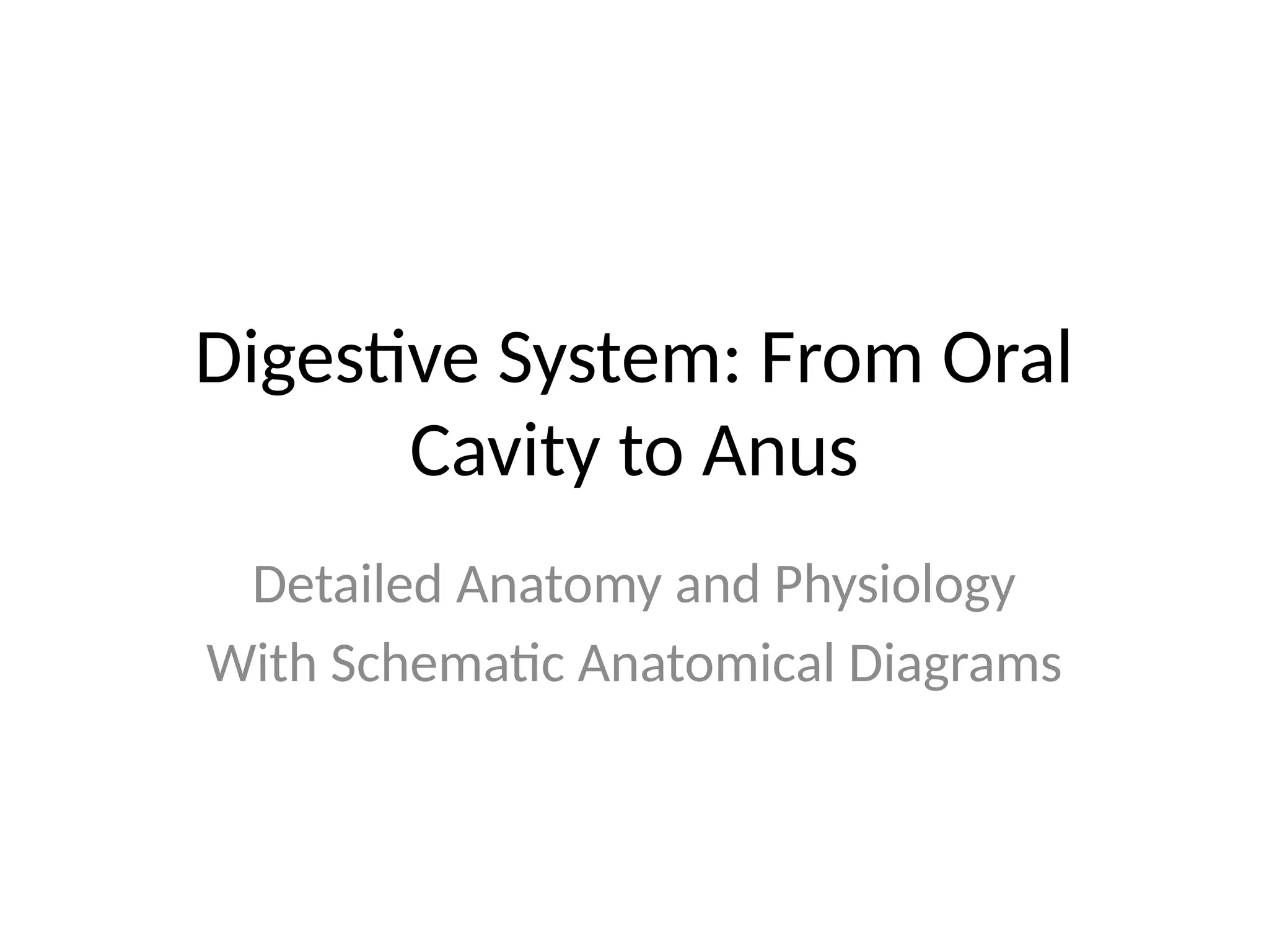 Digestive_System_--Detailed_Anatomy.pptx