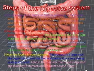 Digestive system | PPT