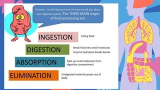 Digestive System Educational Video in Blue Yellow Illustrative Style.pptx