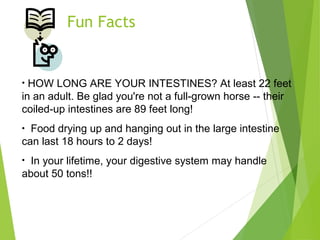 Digestive system enriquez | PPT