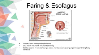 DIGESTIVESYSTEM fix.pptx