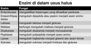 DIGESTIVESYSTEM fix.pptx