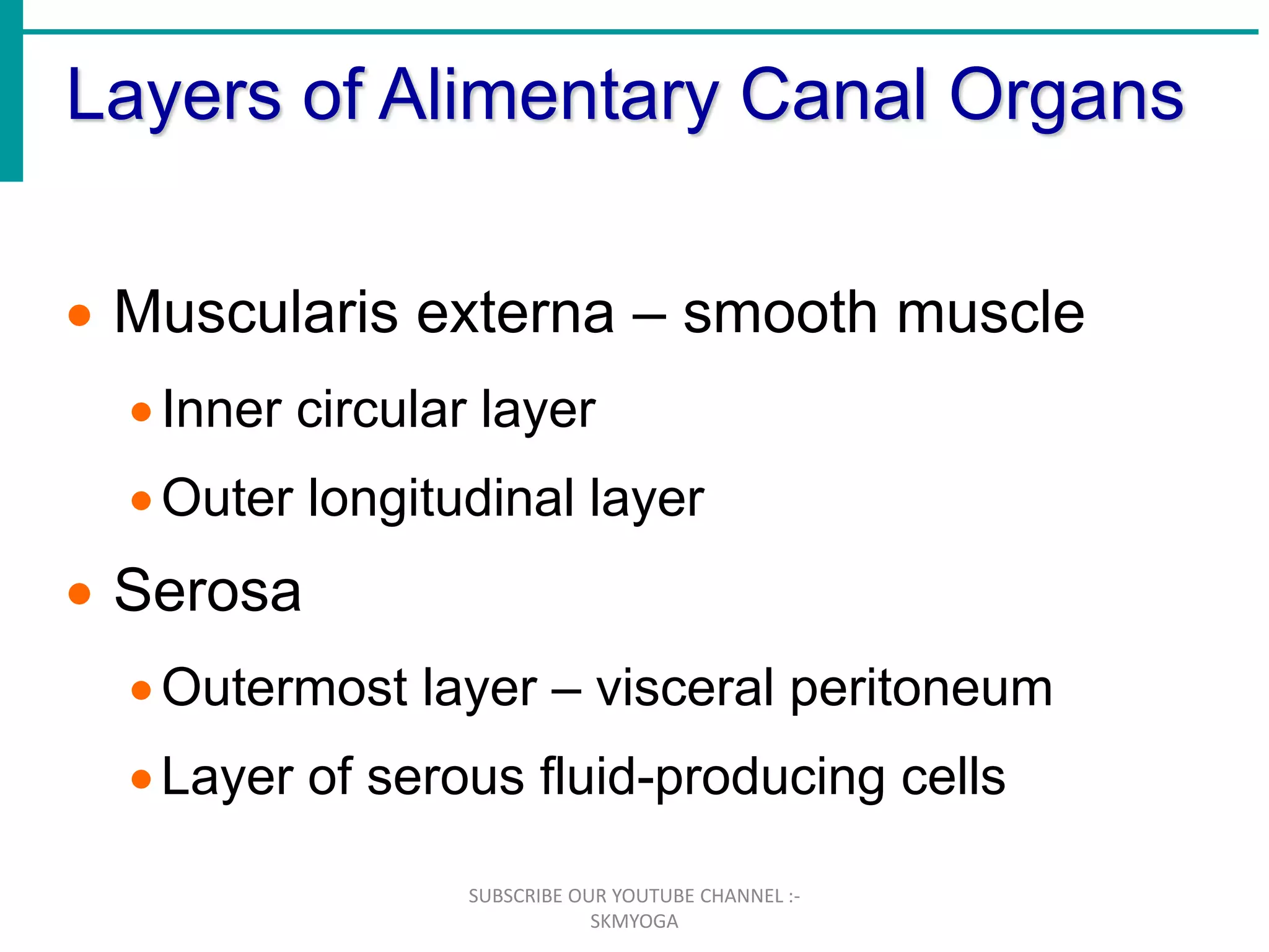 Digestive system for net jrf students.ppt