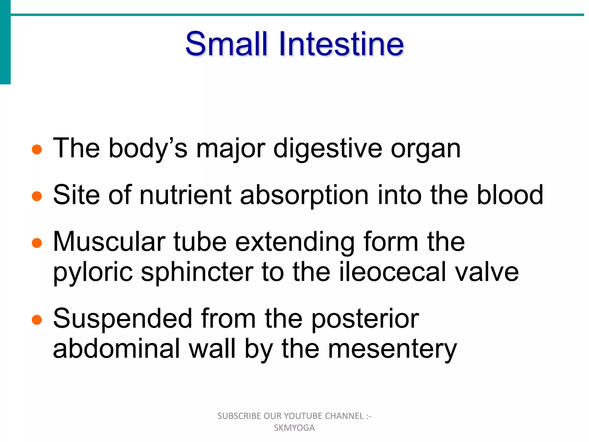 Digestive system for net jrf students.ppt
