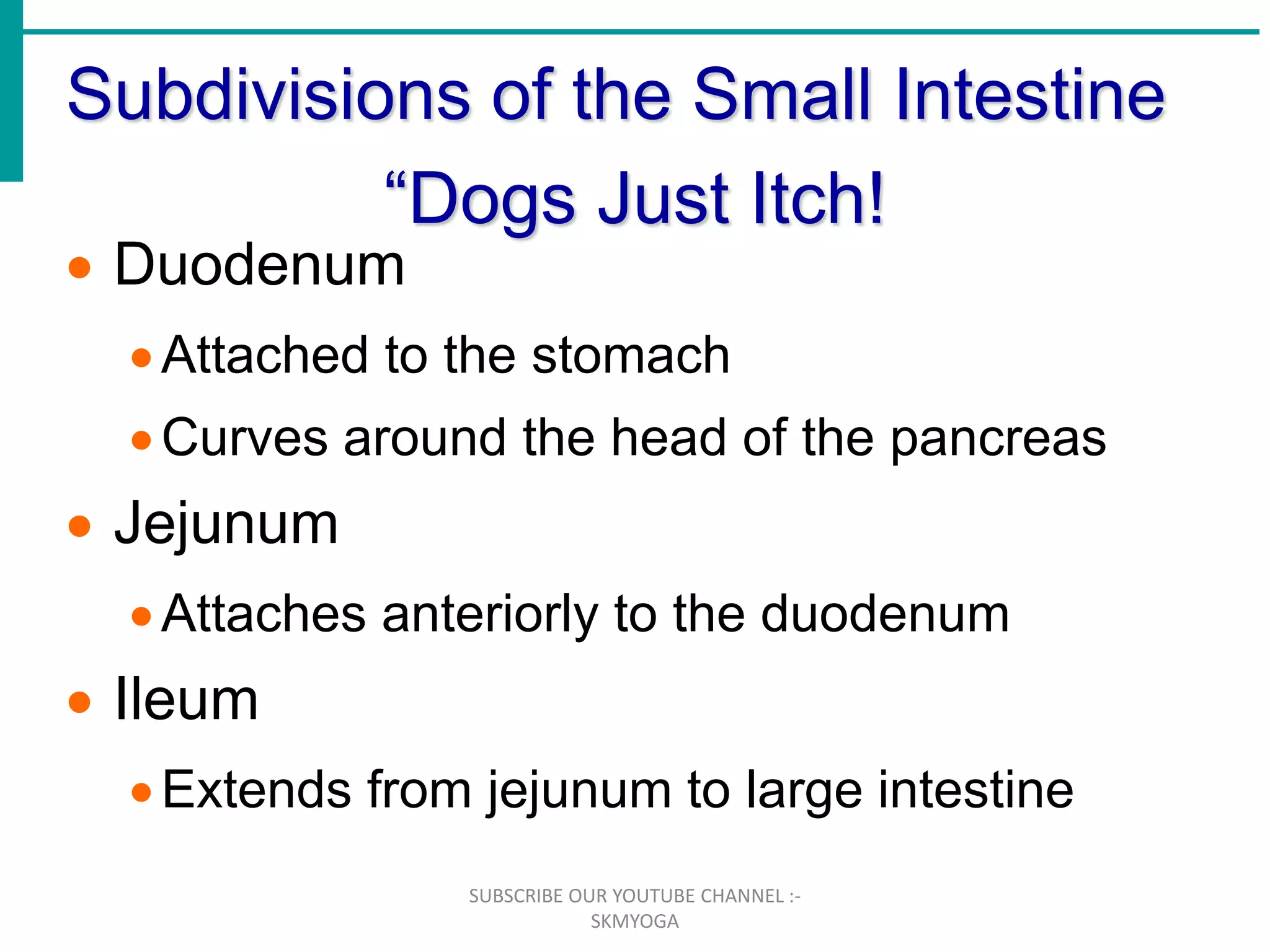 Digestive system for net jrf students.ppt