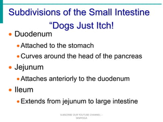 Digestive system for net jrf students.ppt