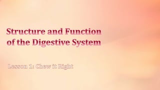 Digestive System, lecture powerpoint Grade 8.pptx