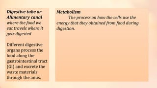 Digestive System, lecture powerpoint Grade 8.pptx