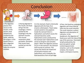 Digestive system | PPTX