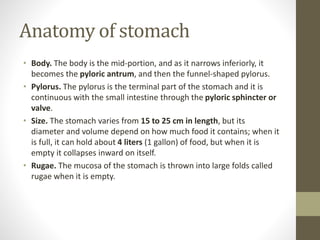 Digestive system HAP II.pptx