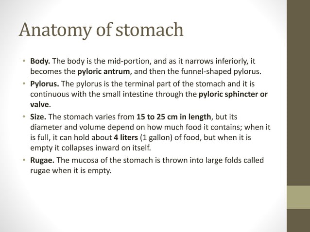Digestive system HAP II.pptx