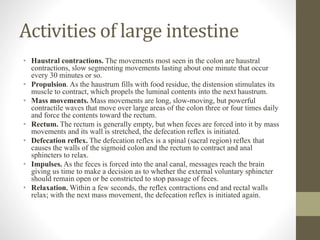 Digestive system HAP II.pptx