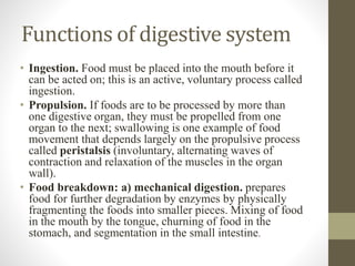 Digestive system HAP II.pptx