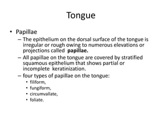 histology of Digestive system histology 1 | PDF