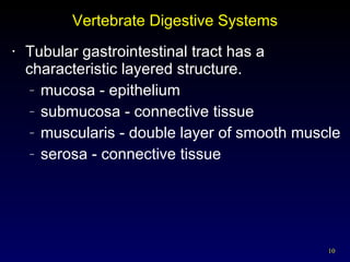Digestive system i | PPT