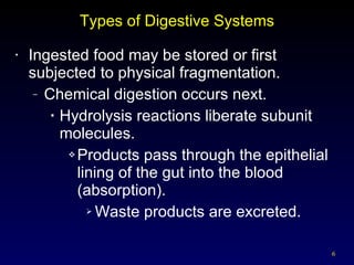 Digestive system i | PPT