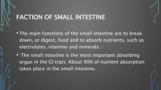 Digestive system i | PPTX
