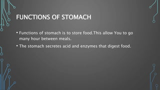 Digestive system i | PPTX | Medical Health