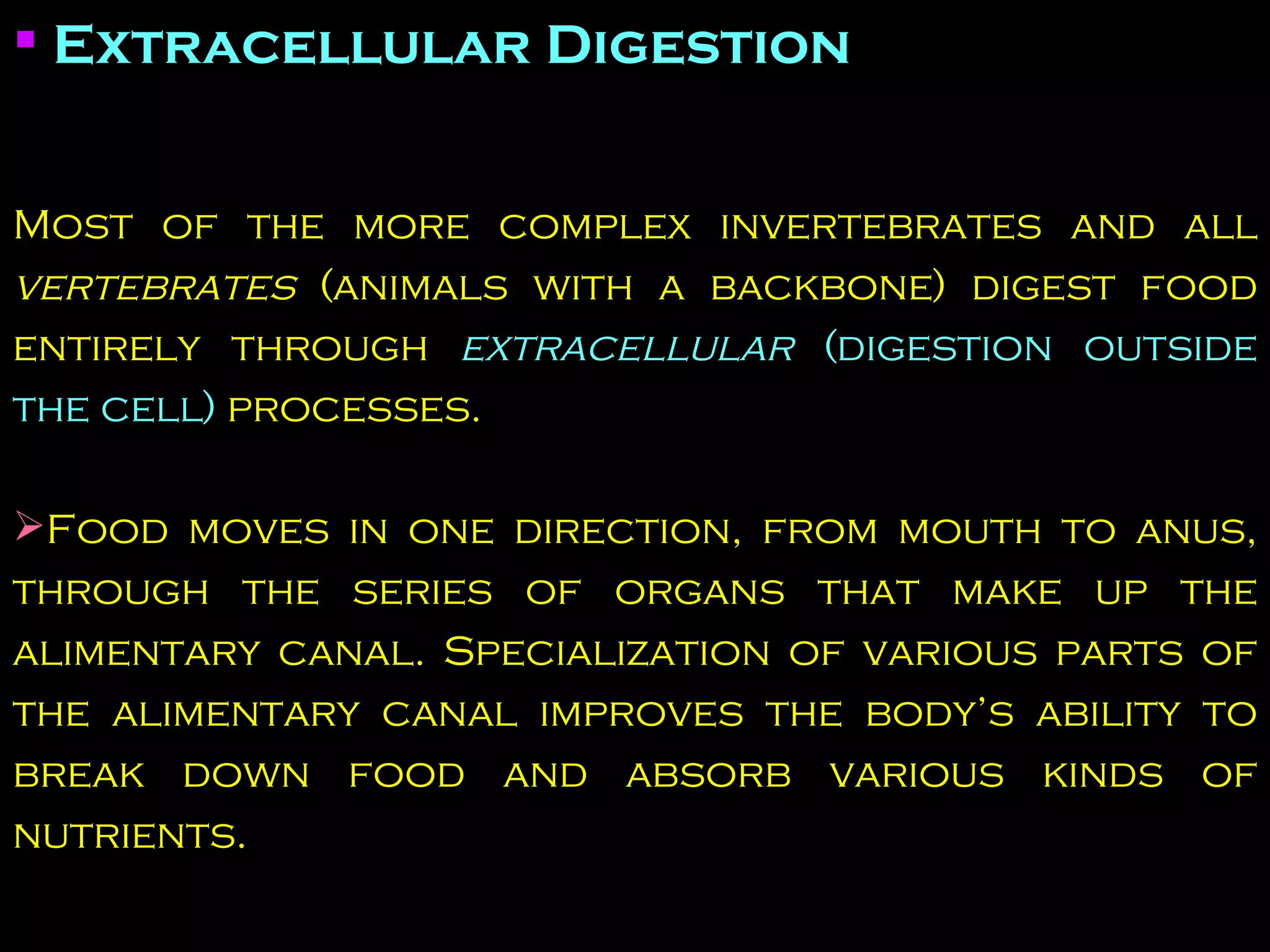 Digestive system ii | PPT