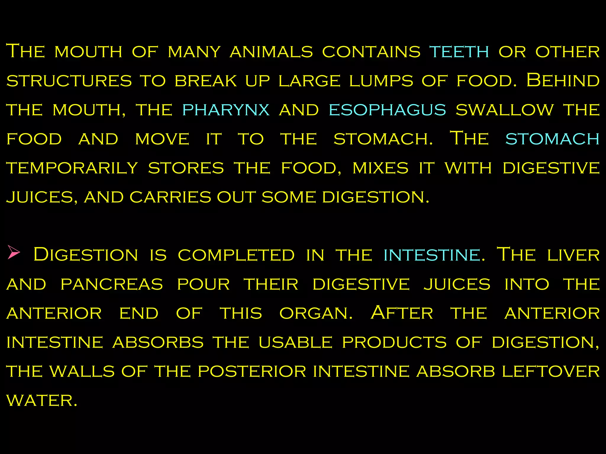 Digestive system ii | PPT