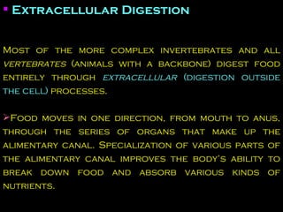 Digestive system ii | PPT