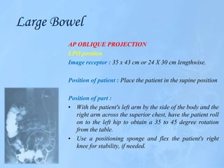 Digestive system imaging 3 class | PPTX