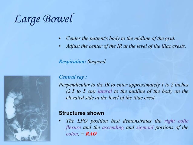 Digestive system imaging 3 class | PPTX