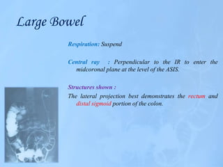 Digestive system imaging 3 class | PPTX