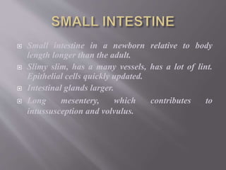 Digestive system in children | PPTX