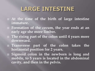 Digestive system in children | PPTX