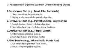 Digestive system in Fish. a complete lecture | PPTX