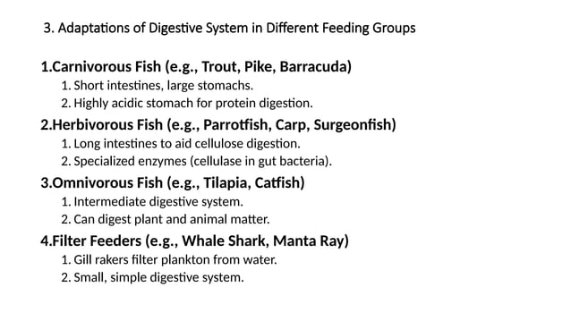 Digestive system in Fish. a complete lecture | PPTX